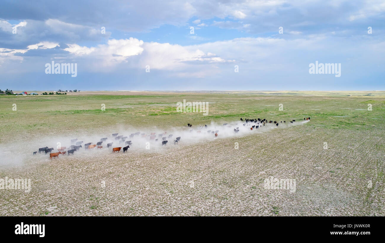 Aerial dust cloud hi-res stock photography and images - Alamy