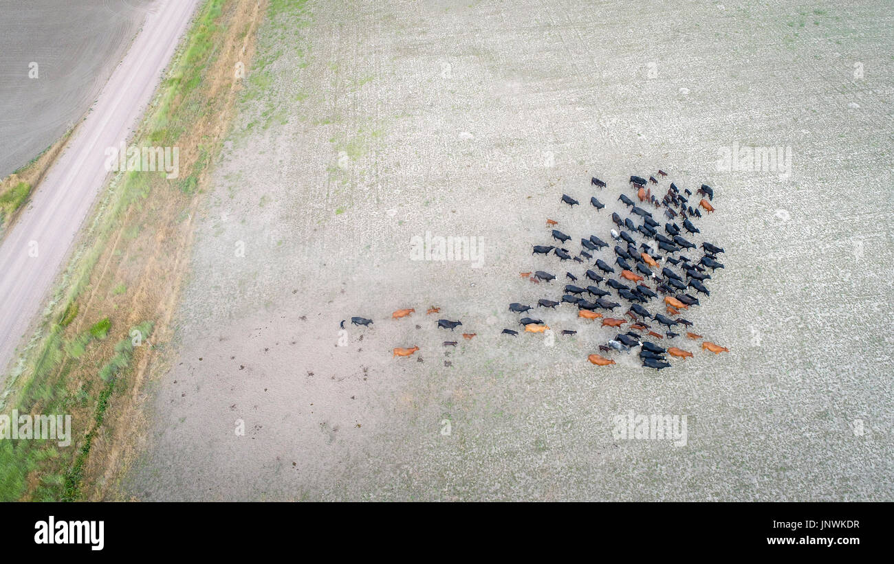 Aerial agriculture nebraska hi-res stock photography and images - Alamy
