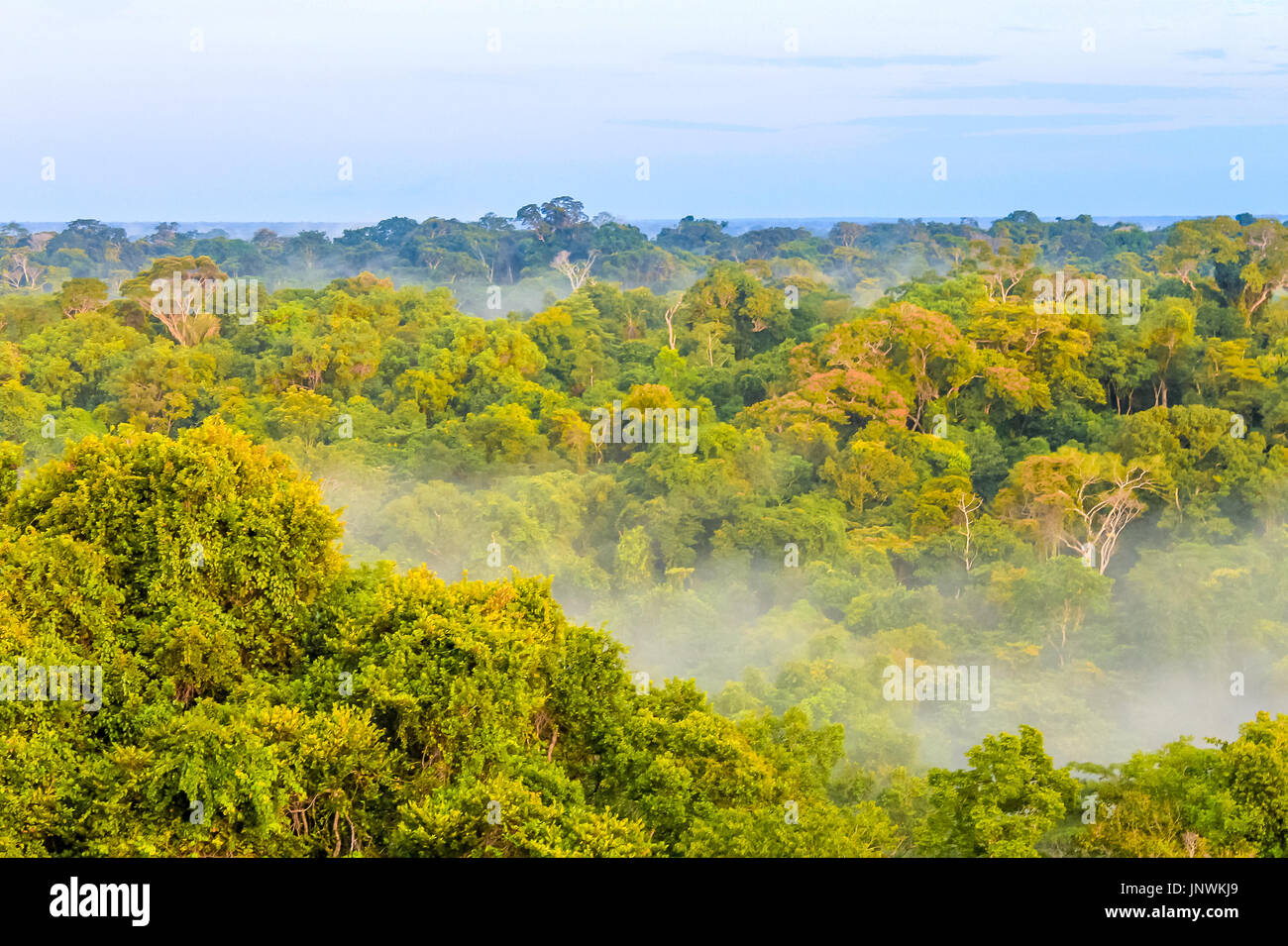 Dawn over the amazon rainforest hi-res stock photography and images - Alamy