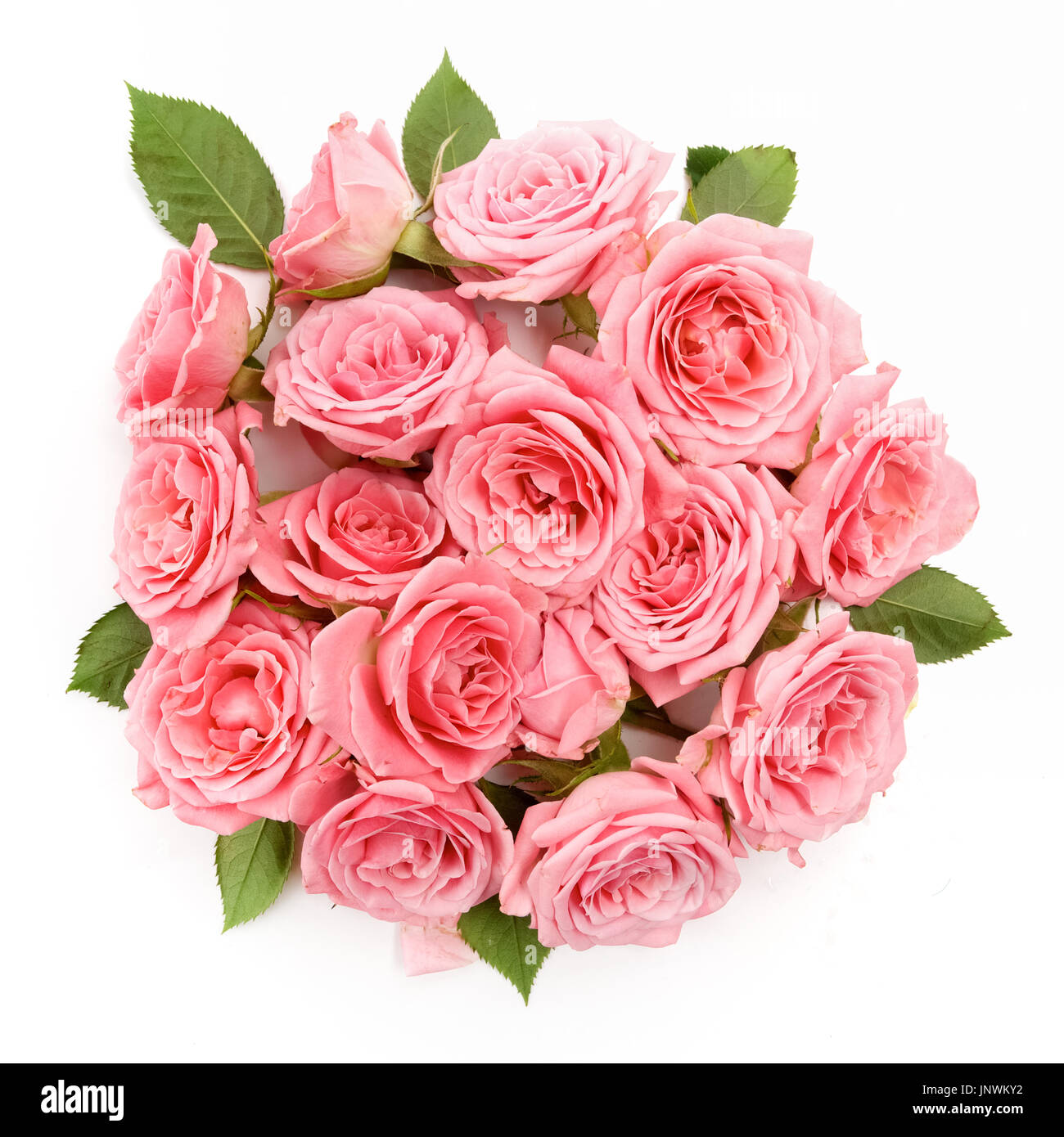 Lay flat image Cut Out Stock Images & Pictures - Alamy