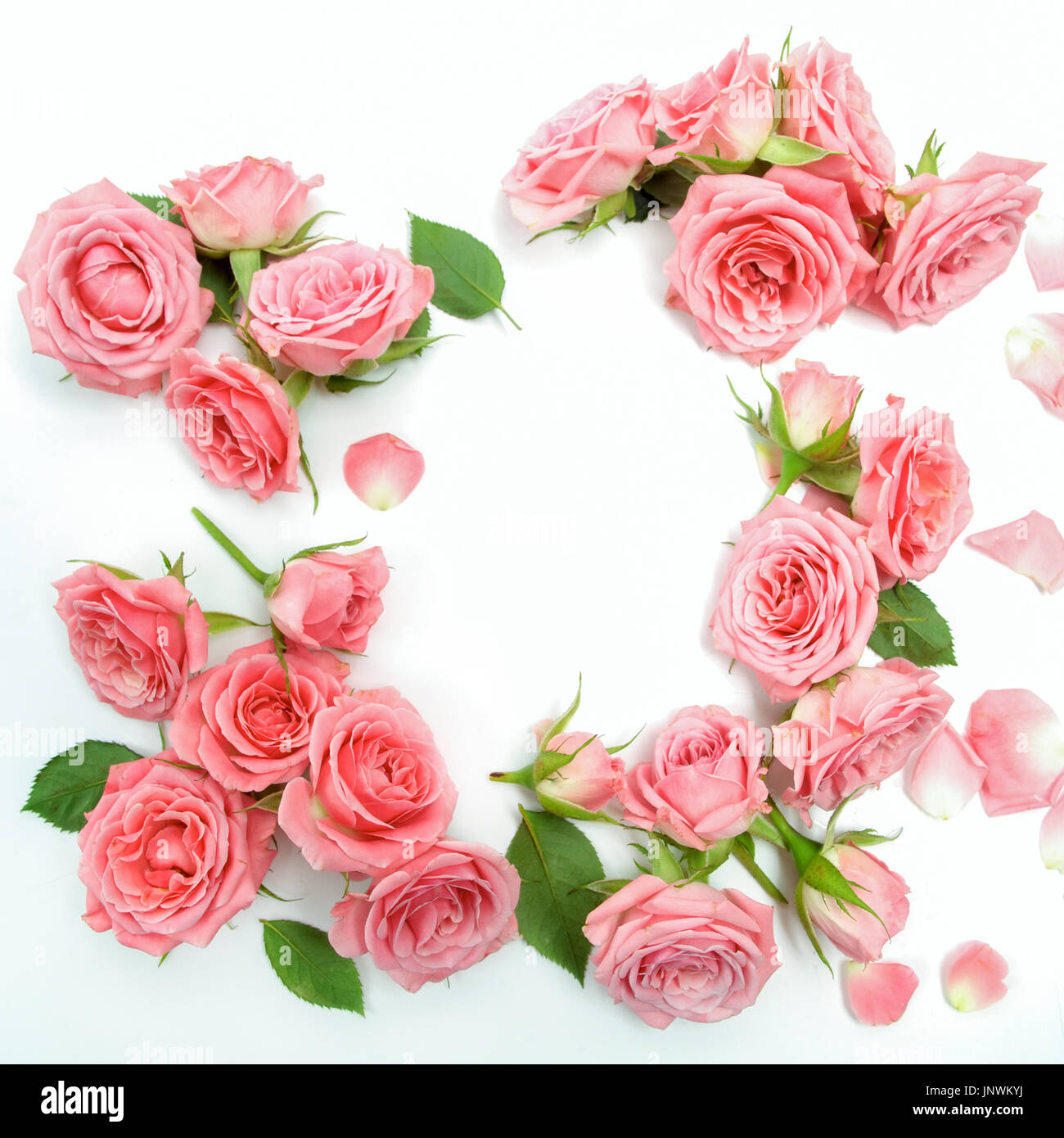 Framework from roses on hi-res stock photography and images - Alamy