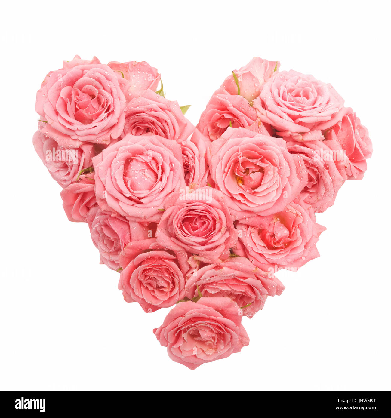 Heart shaped bouquet of roses isolated on white background. Top view ...