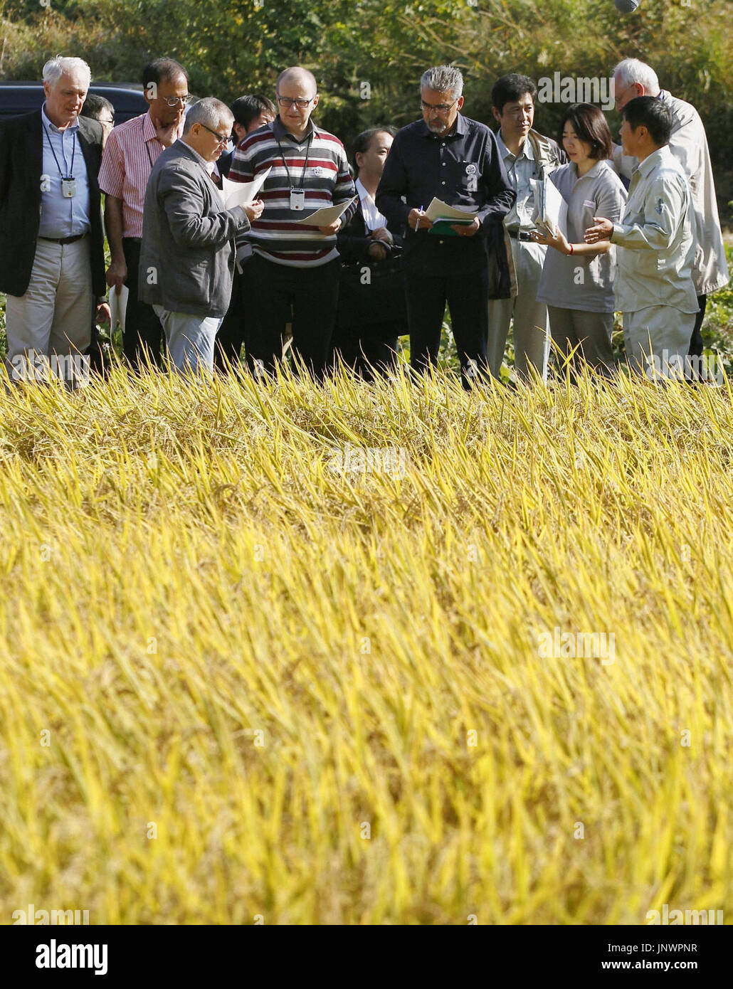 IITATE, Japan - A team of experts from the International Atomic Energy ...