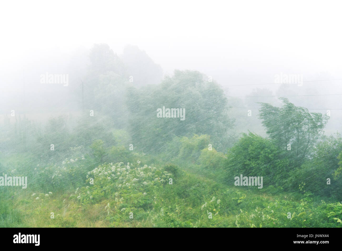 Strong rain and wind outside, bad weather, storm Stock Photo - Alamy