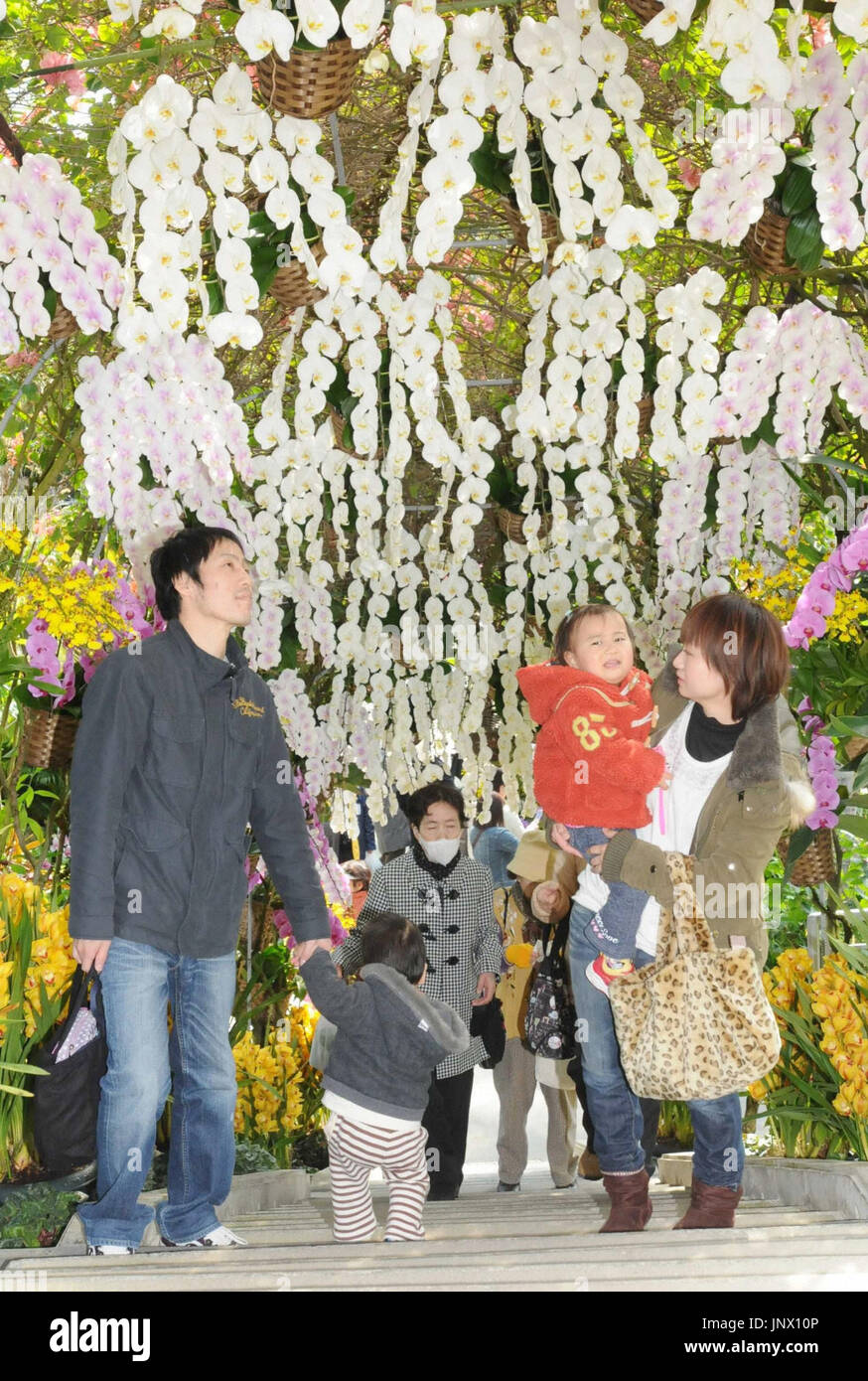 YONAGO, Japan - People view flowers during the start of an orchid festival at Tottori Hanakairo ...