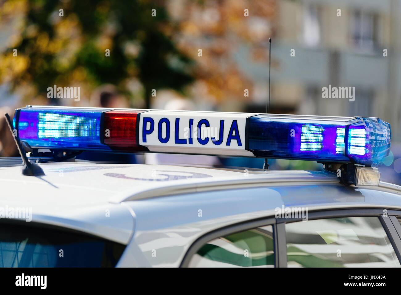 Flashing police blue lights mounted on the roof of Polish police car ...