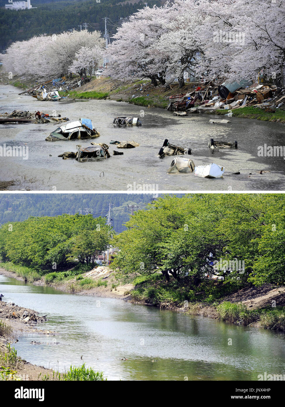 KESENNUMA, Japan - Combined photo shows the Kamiyama River in Kesennuma ...