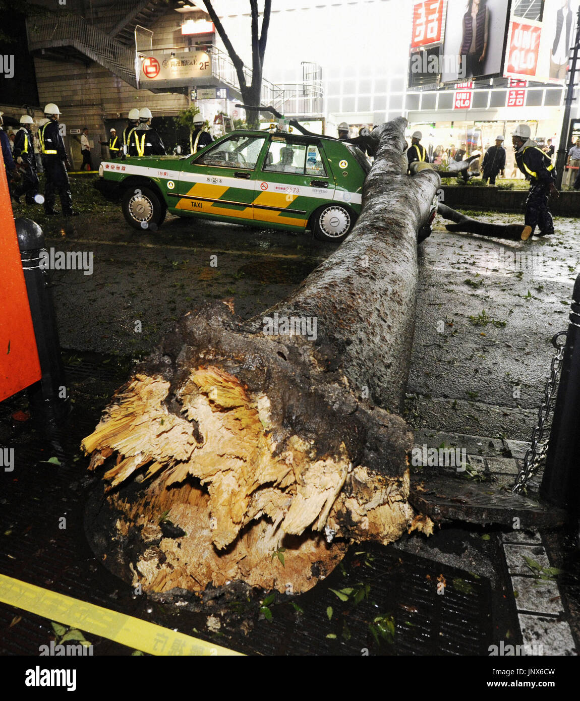 TOKYO, Japan - A street tree is swept down by strong winds caused by ...