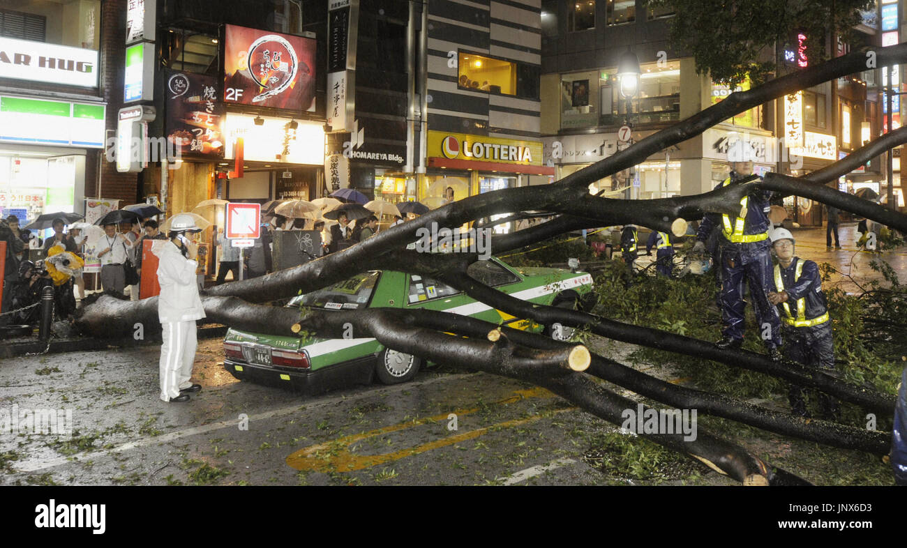 TOKYO, Japan - A street tree is swept down by strong winds caused by ...
