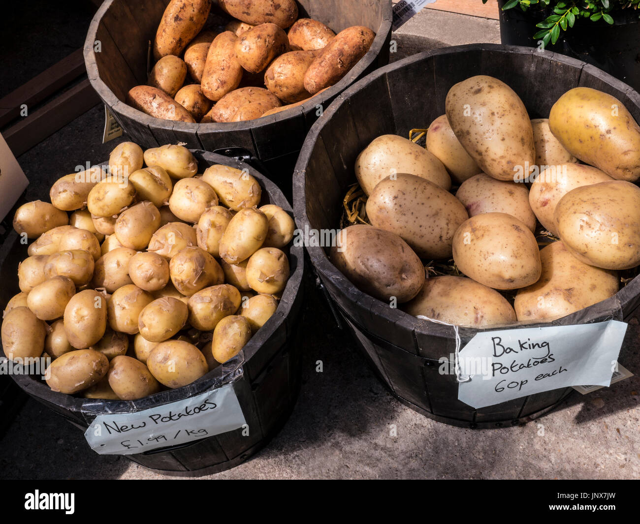 Varieties Of Potatoes High Resolution Stock Photography and Images - Alamy