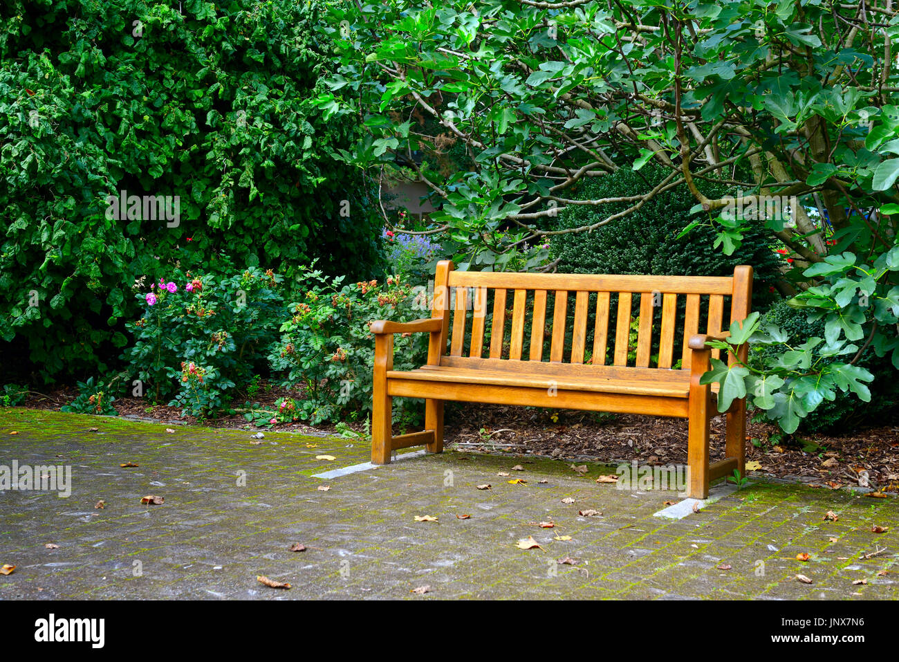 Wooden bench path park hi-res stock photography and images - Alamy