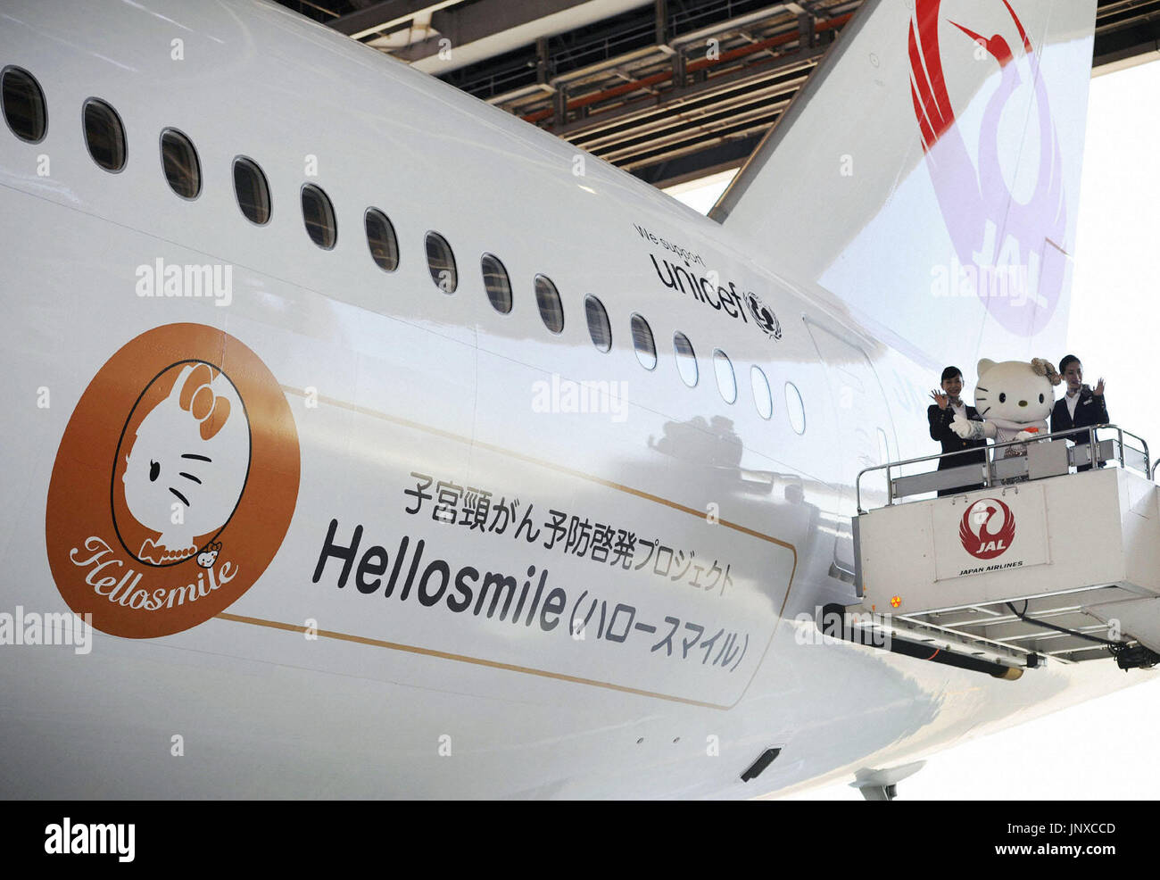 TOKYO, Japan - Photo shows an airplane with Sanrio Co.'s Hello Kitty ...