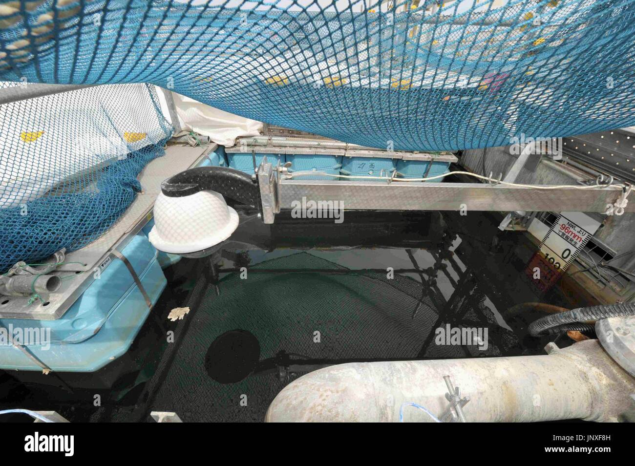 TOKYO, Japan - Photo shows spent fuel storage pool of the No. 4 reactor ...