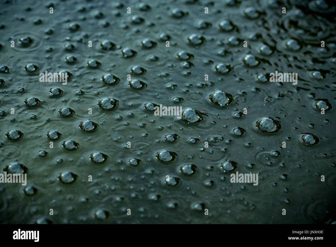 Lots of bubbles covering the surface of a small pond Stock Photo - Alamy