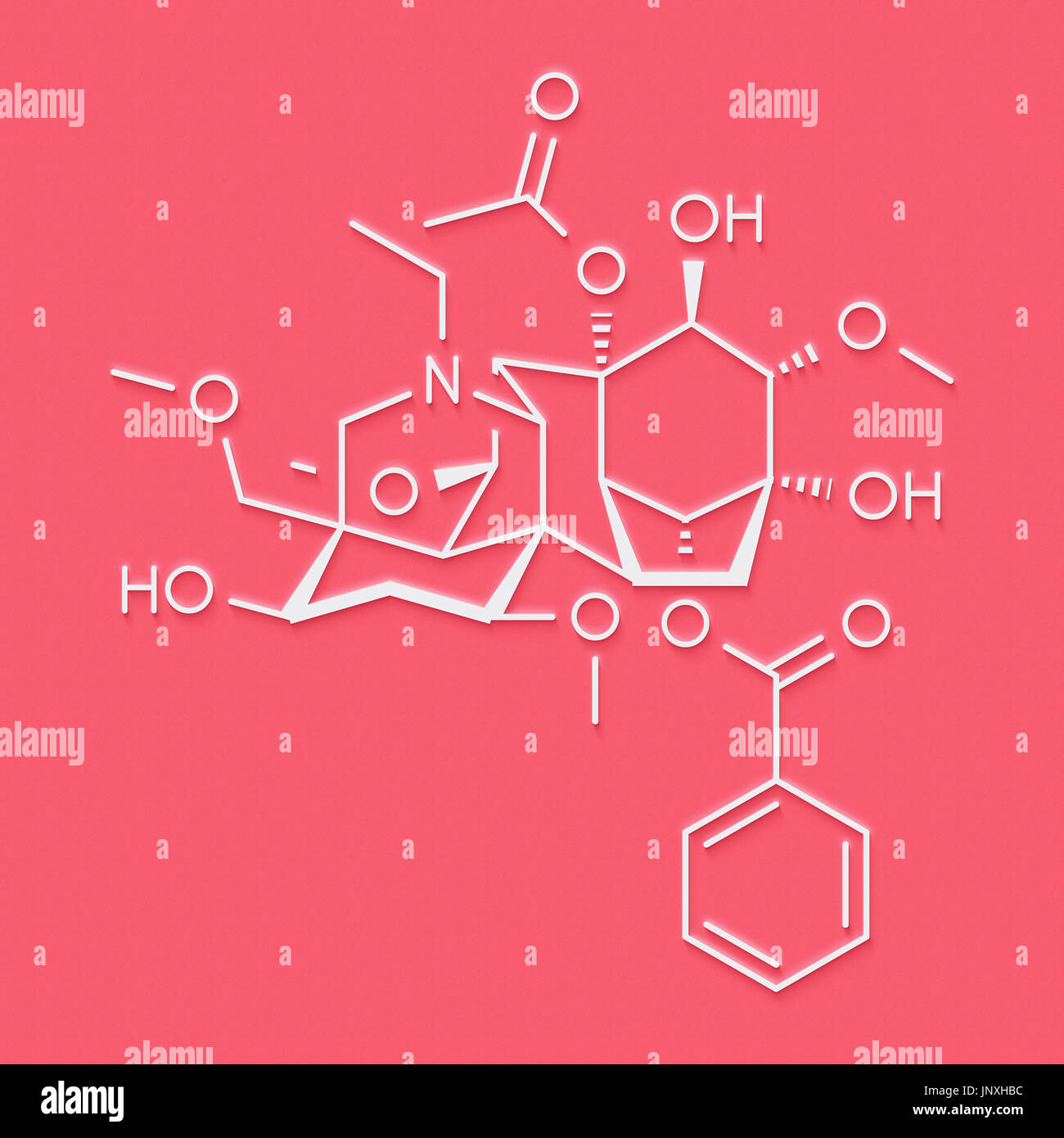 Skeletal plants hi-res stock photography and images - Alamy