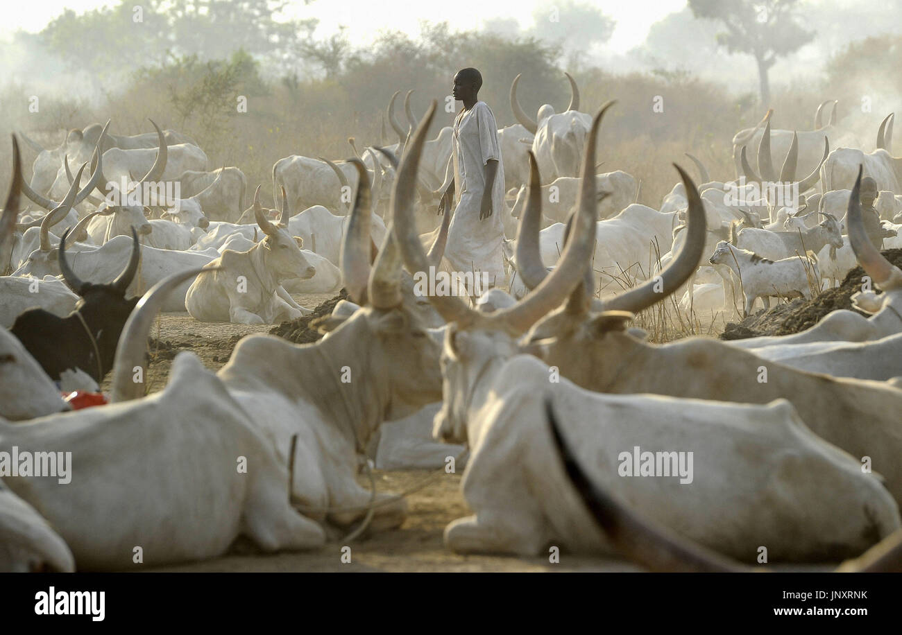 JUBA, South Sudan - A man from the Mundari nomad tribe stands among ...