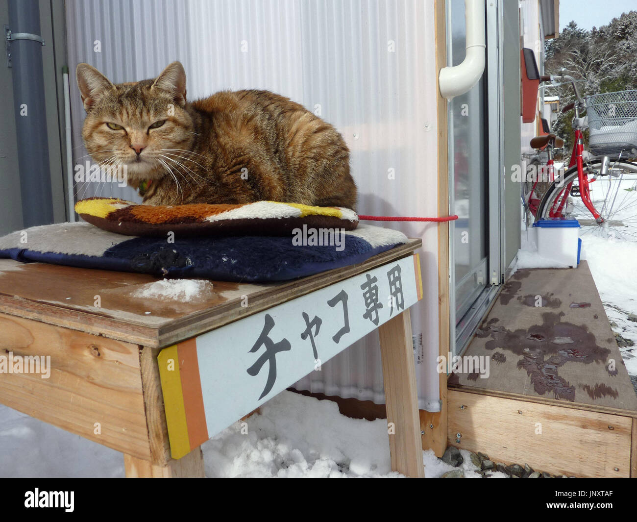 SENDAI, Japan - A cat named Chako sits on a pedestal with a sign ...
