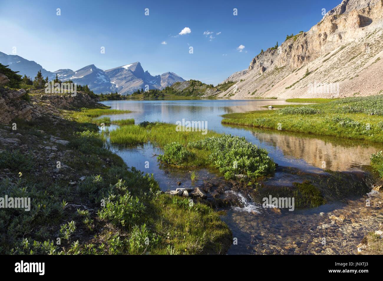 Scenic Landscape View Green Grass Blue Alpine Lake Rocky Mountains ...