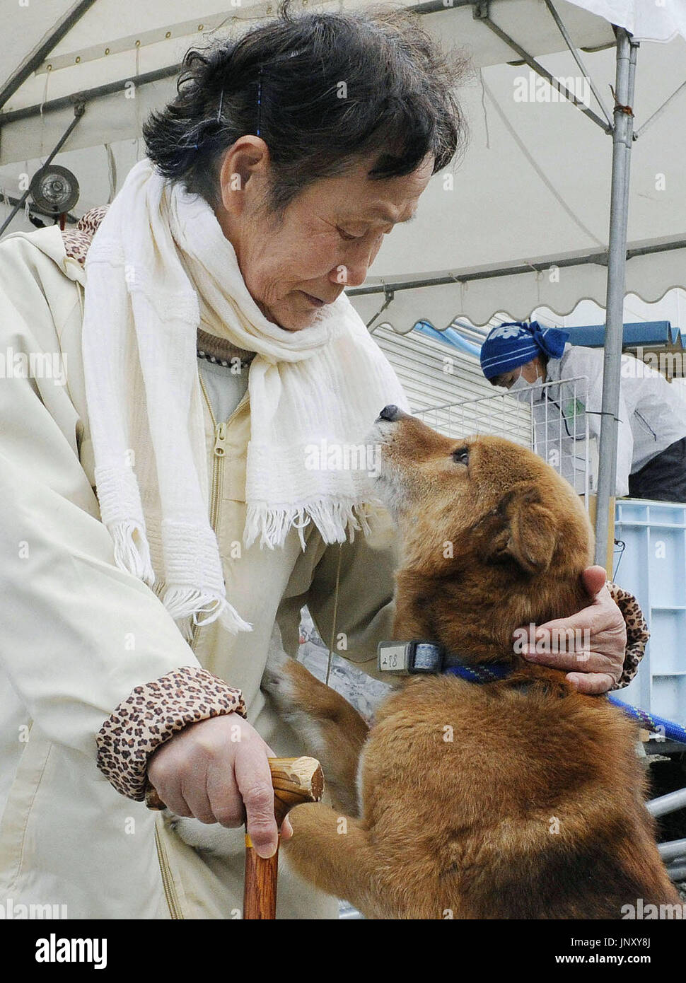 FUKUSHIMA, Japan - Waka Araoka cuddles her pet dog Ko at a pet shelter ...