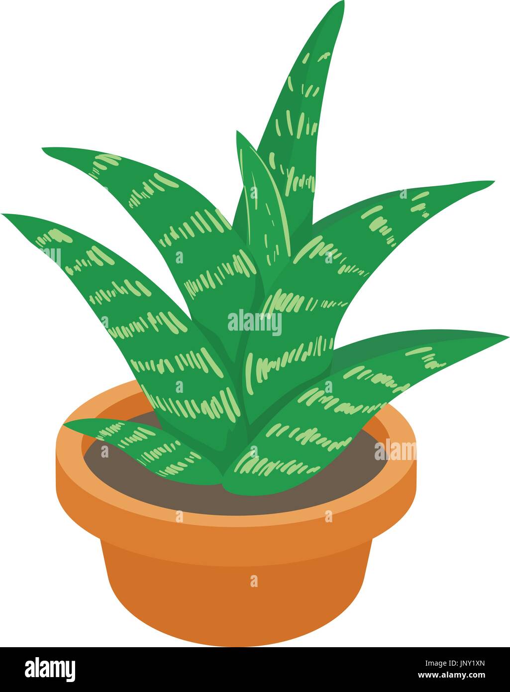 Aloe icon, cartoon style Stock Vector Image & Art - Alamy