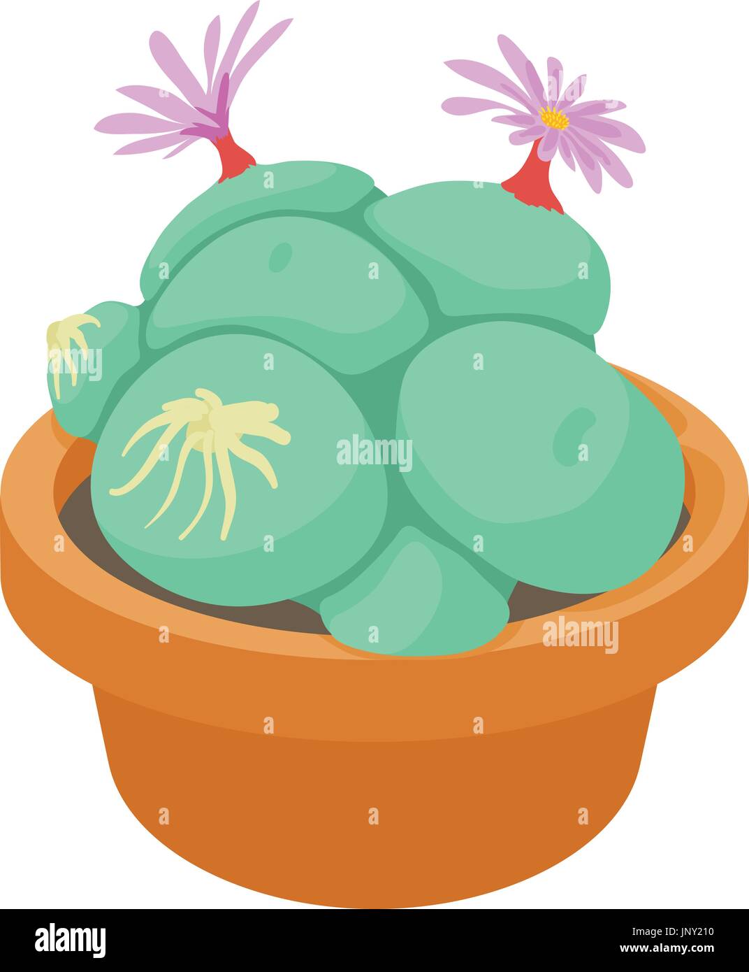 Succulent icon, cartoon style Stock Vector Image & Art - Alamy