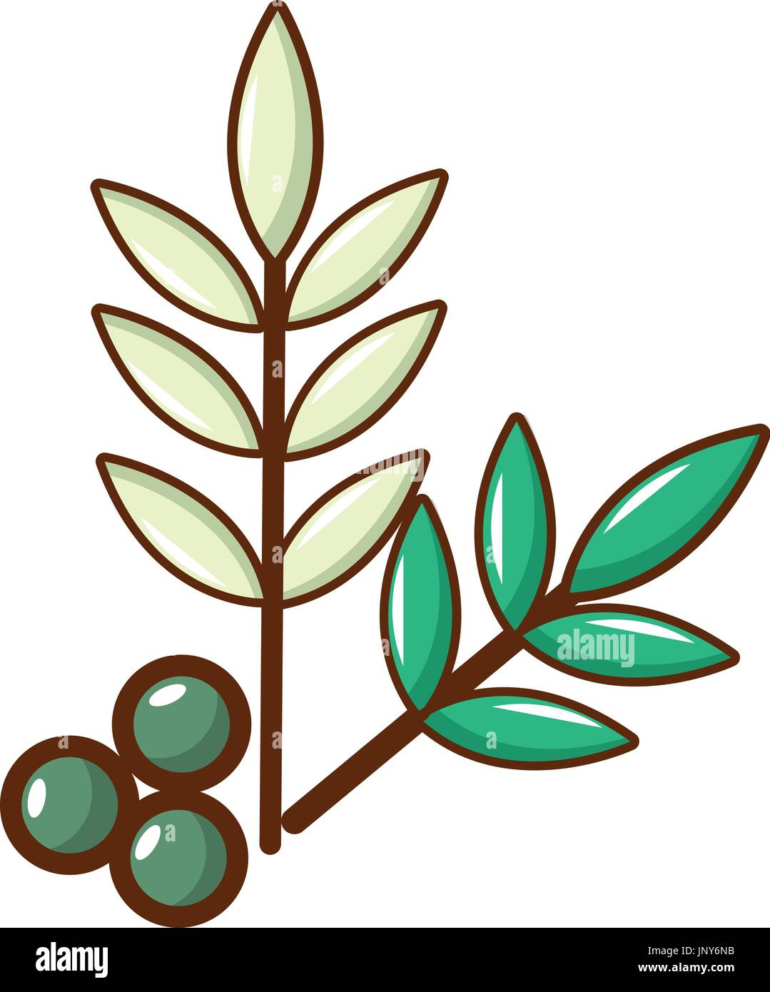 Olives icon, cartoon style Stock Vector Image & Art - Alamy