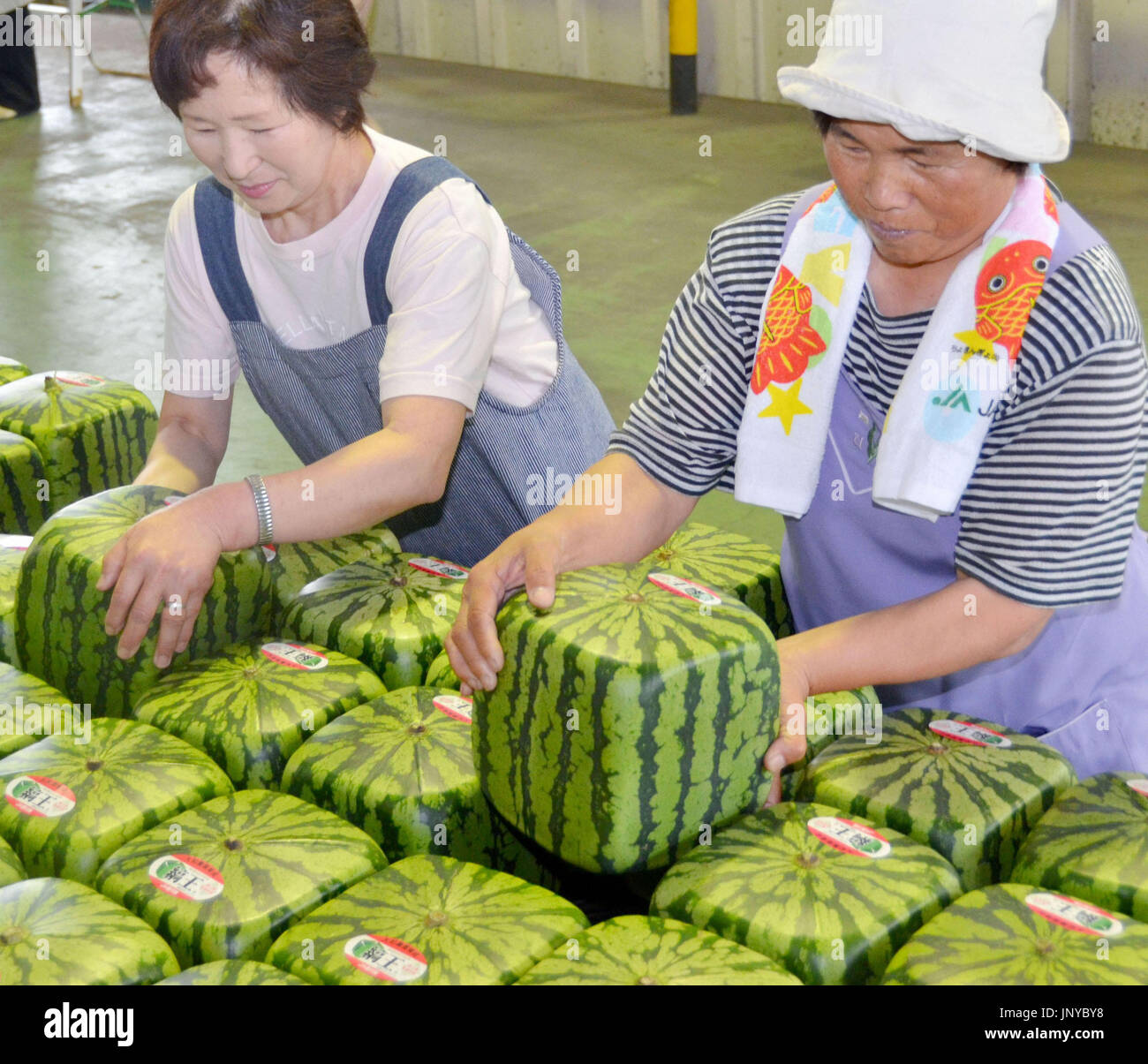 TAKAMATSU, Japan - Photo taken on June 27, 2012, shows rare dice-shaped ...