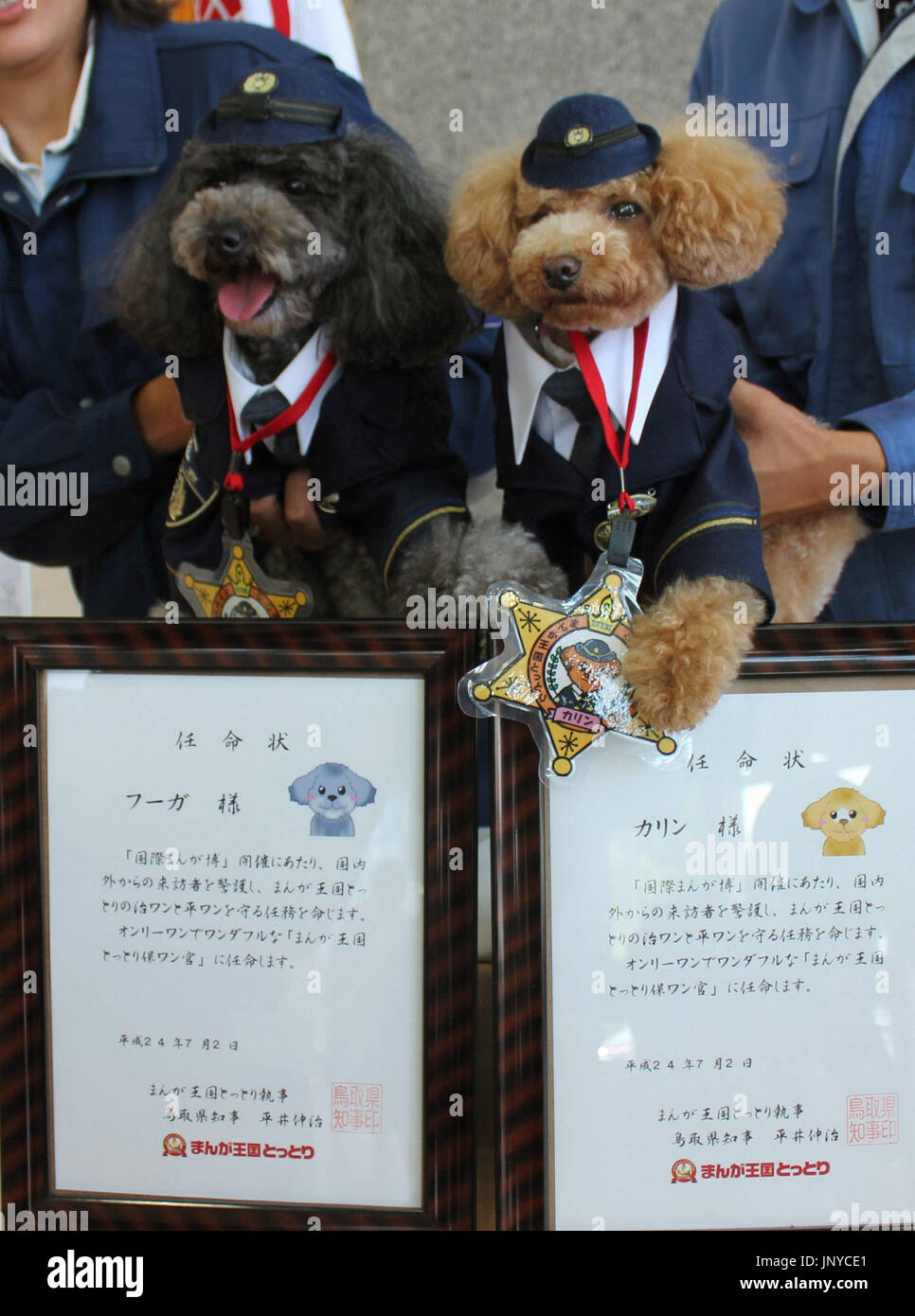 TOTTORI, Japan - Toy poodles Karin (R) and Fuga, 2-year-old female ...