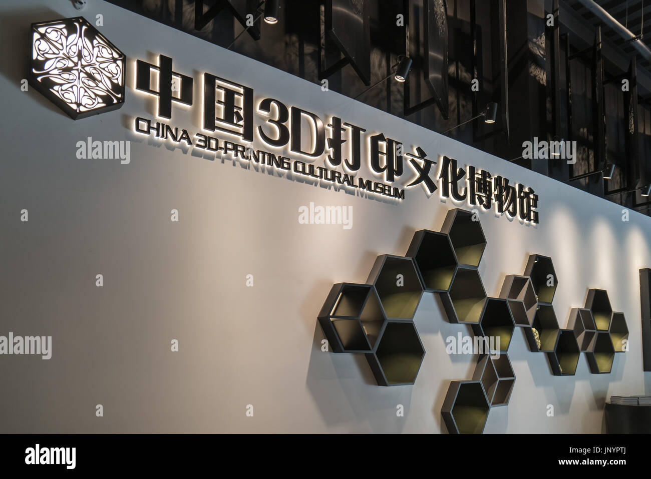 Shanghai, Shanghai, China. 31st July, 2017. China 3D Printing Cultural ...