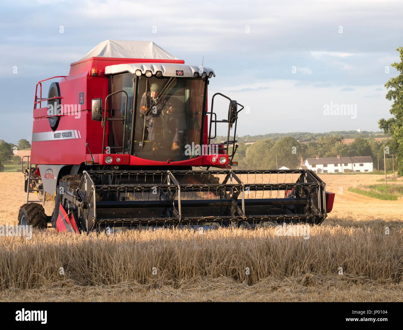 Barley being harvested by a combine harvester Stock Photo - Alamy