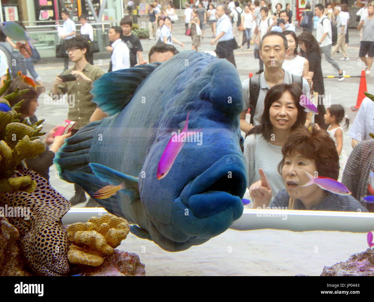 Tokyo, Japan. 1st Aug, 2017. Shoppers in Ginza look at tropical fish ...