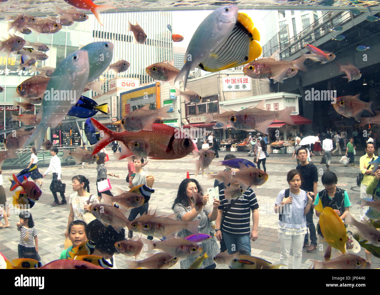 Tokyo, Japan. 1st Aug, 2017. Shoppers in Ginza look at tropical fish ...