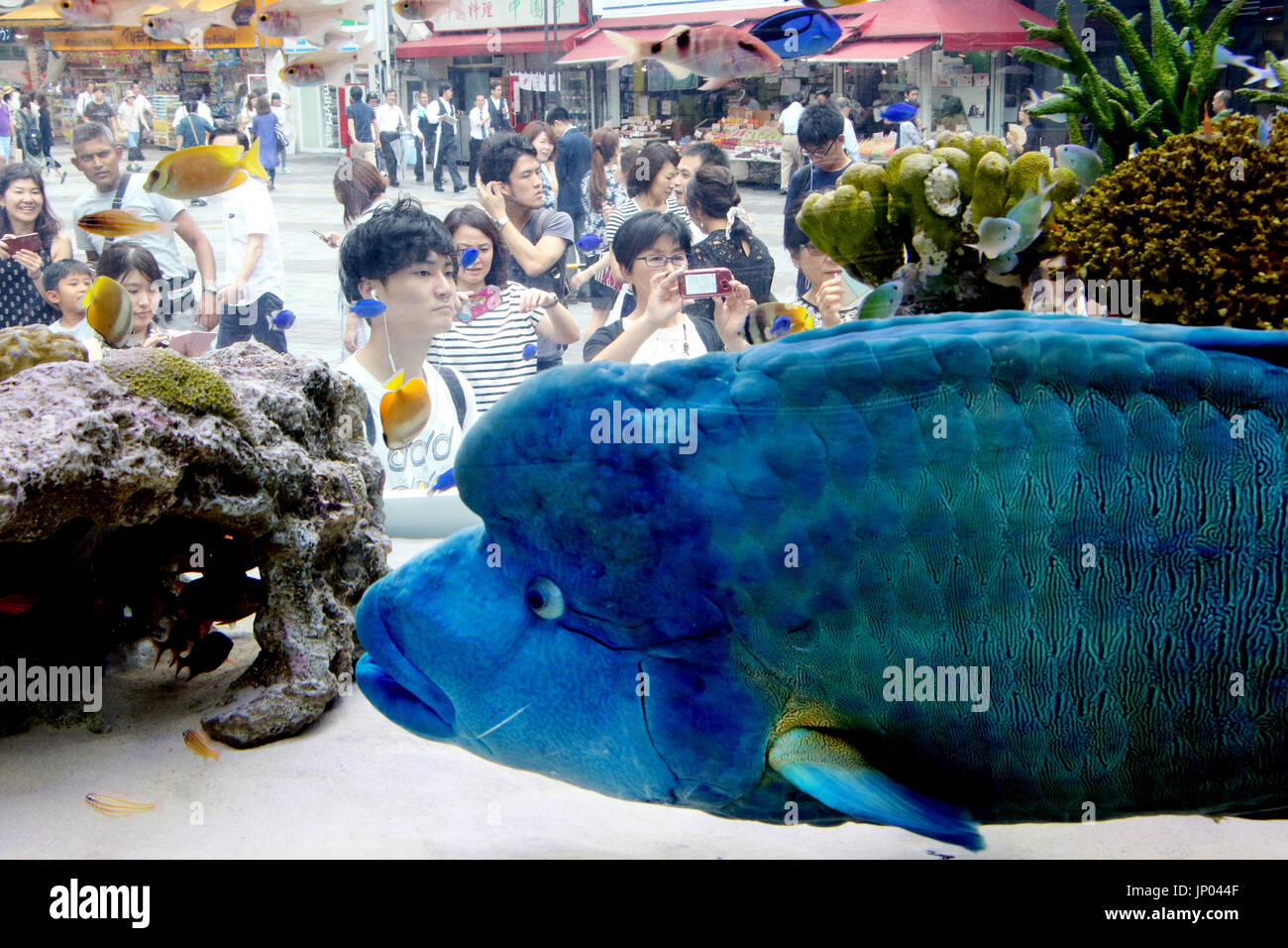 Tokyo, Japan. 1st Aug, 2017. Shoppers in Ginza look at tropical fish ...