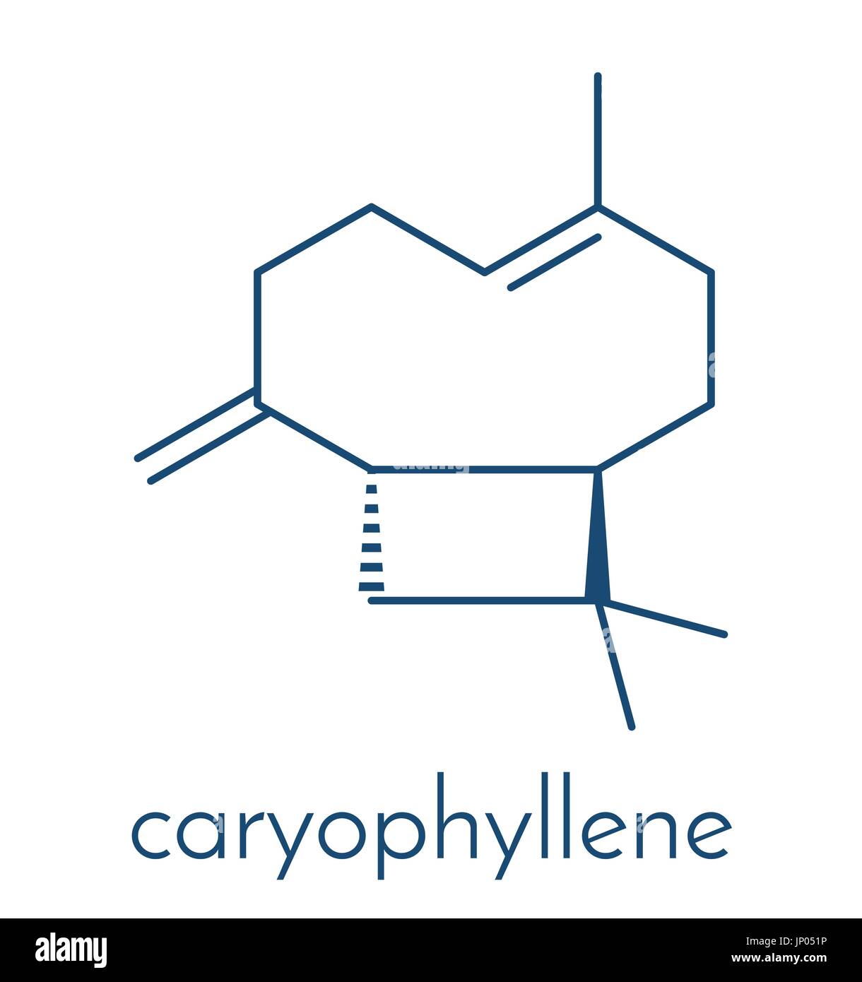 Caryophyllene molecule. Constituent of multiple herbal essential oils ...