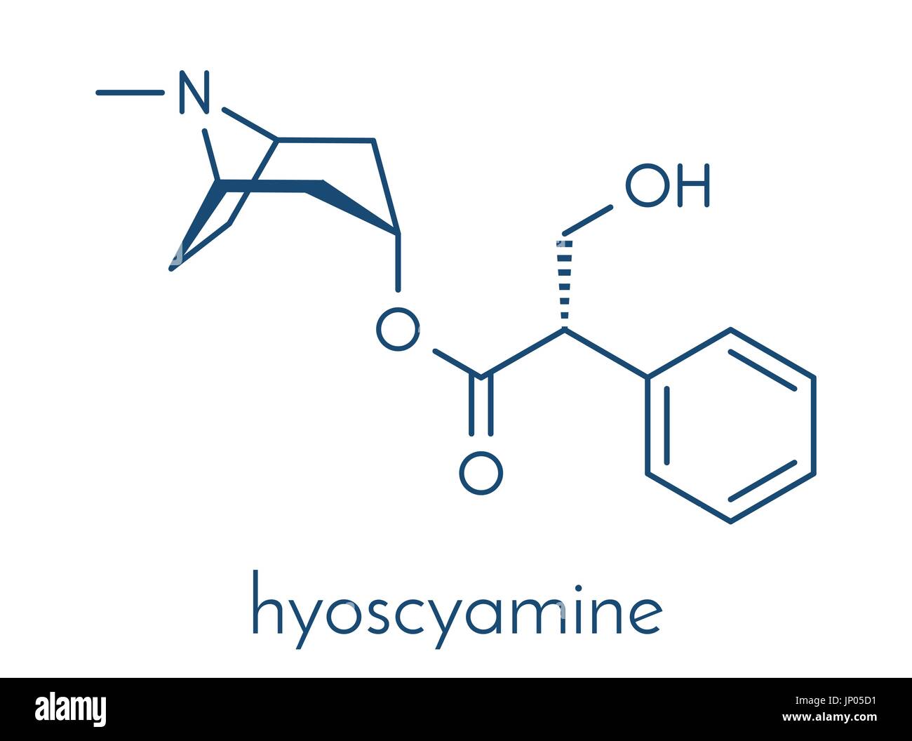 Atropa belladonna drawing hi-res stock photography and images - Alamy
