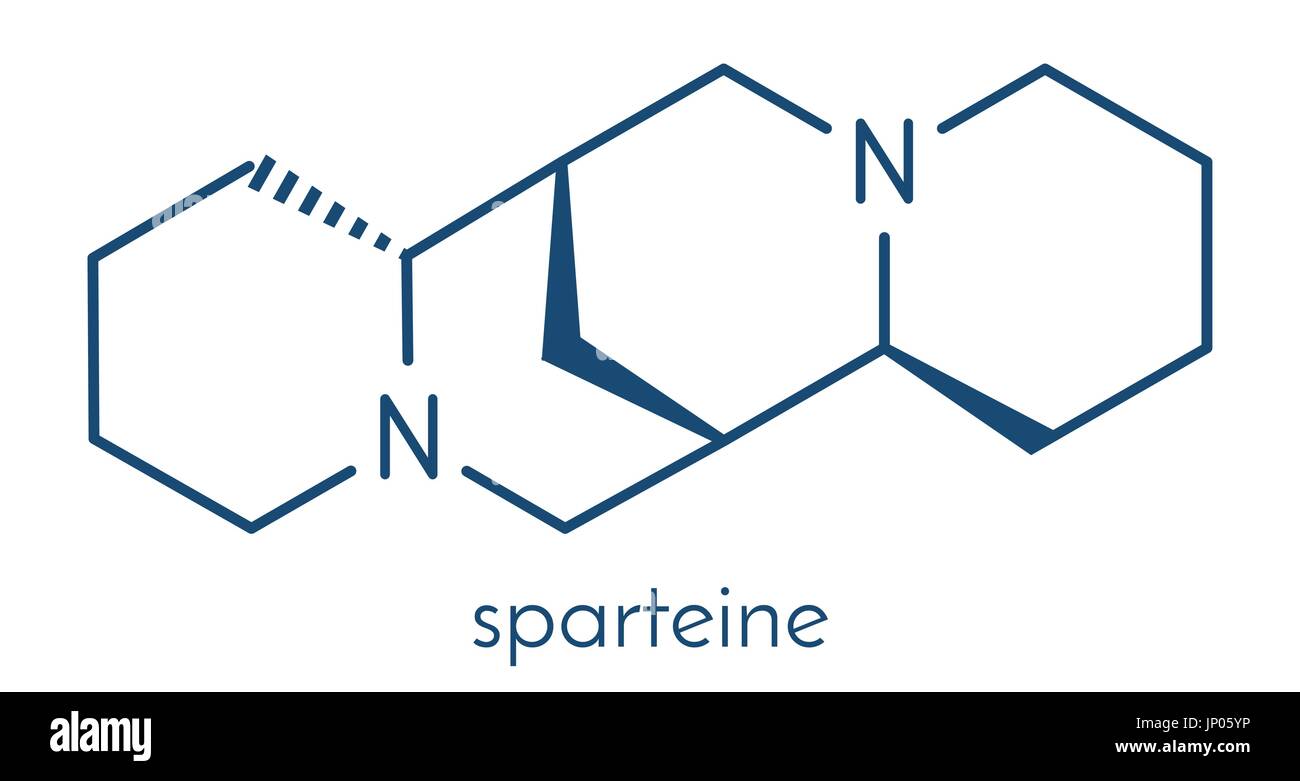 Sparteine scotch broom alkaloid molecule. Skeletal formula Stock Vector ...