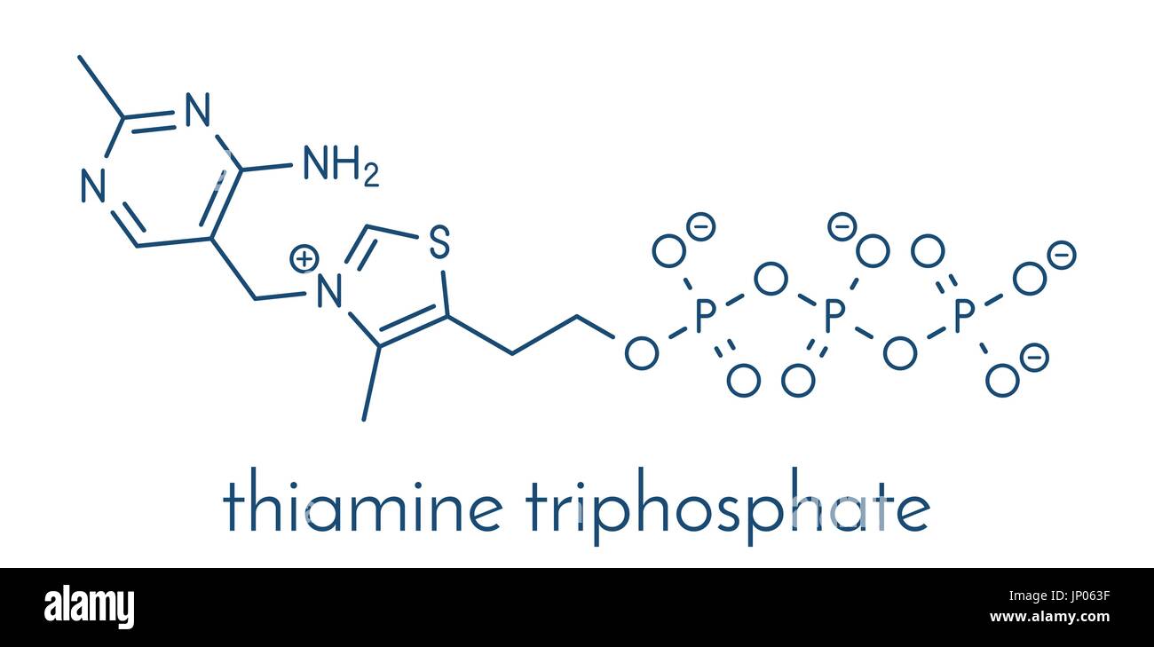Thiamine triphosphate molecule. Skeletal formula Stock Vector Image ...