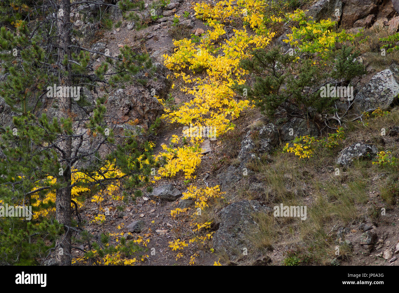 Hillside seep hi-res stock photography and images - Alamy