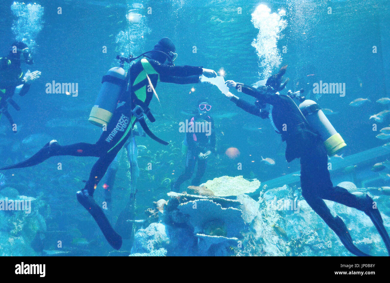 TOBA, Japan - Shiho Endo (R), a newly hired employee at Toba Aquarium ...