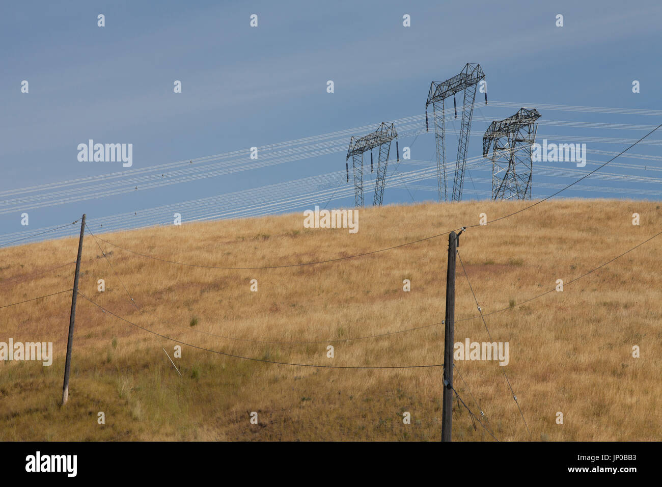 Pylons in a golden field. Pylons on the hill Stock Photo - Alamy