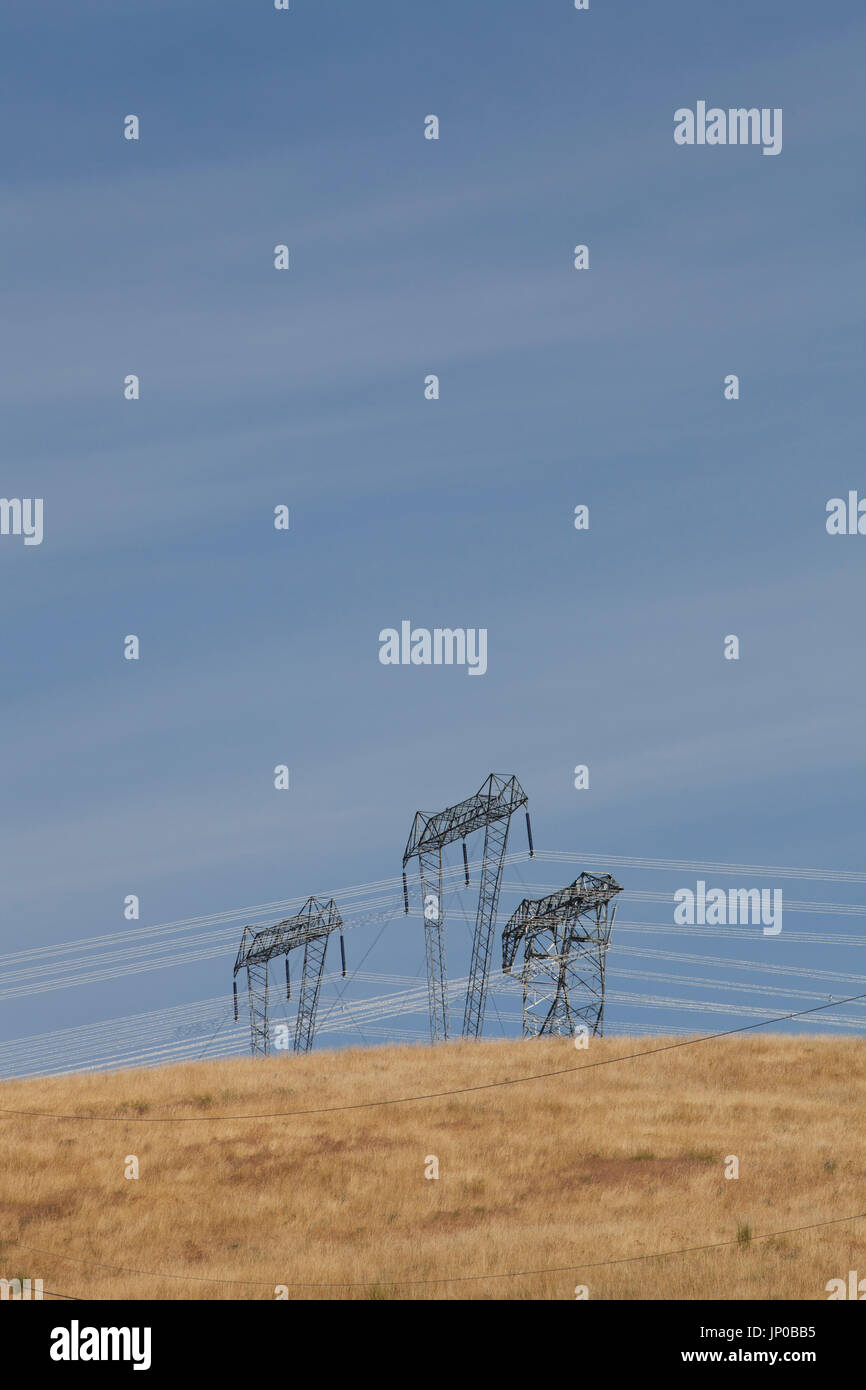 Pylons in a golden field. Pylons on the hill Stock Photo - Alamy