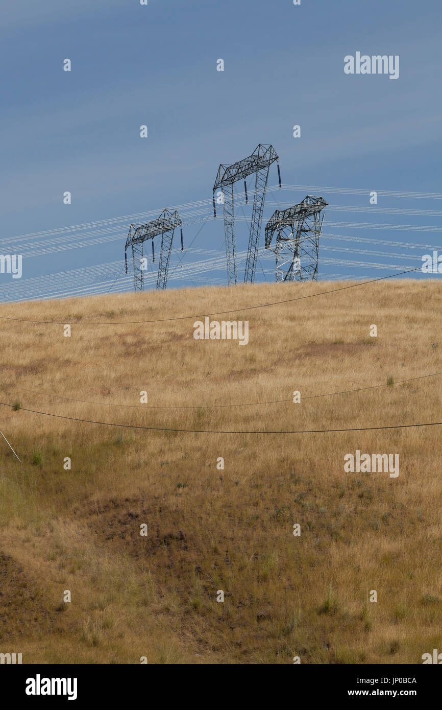 Pylons in a golden field. Pylons on the hill Stock Photo - Alamy