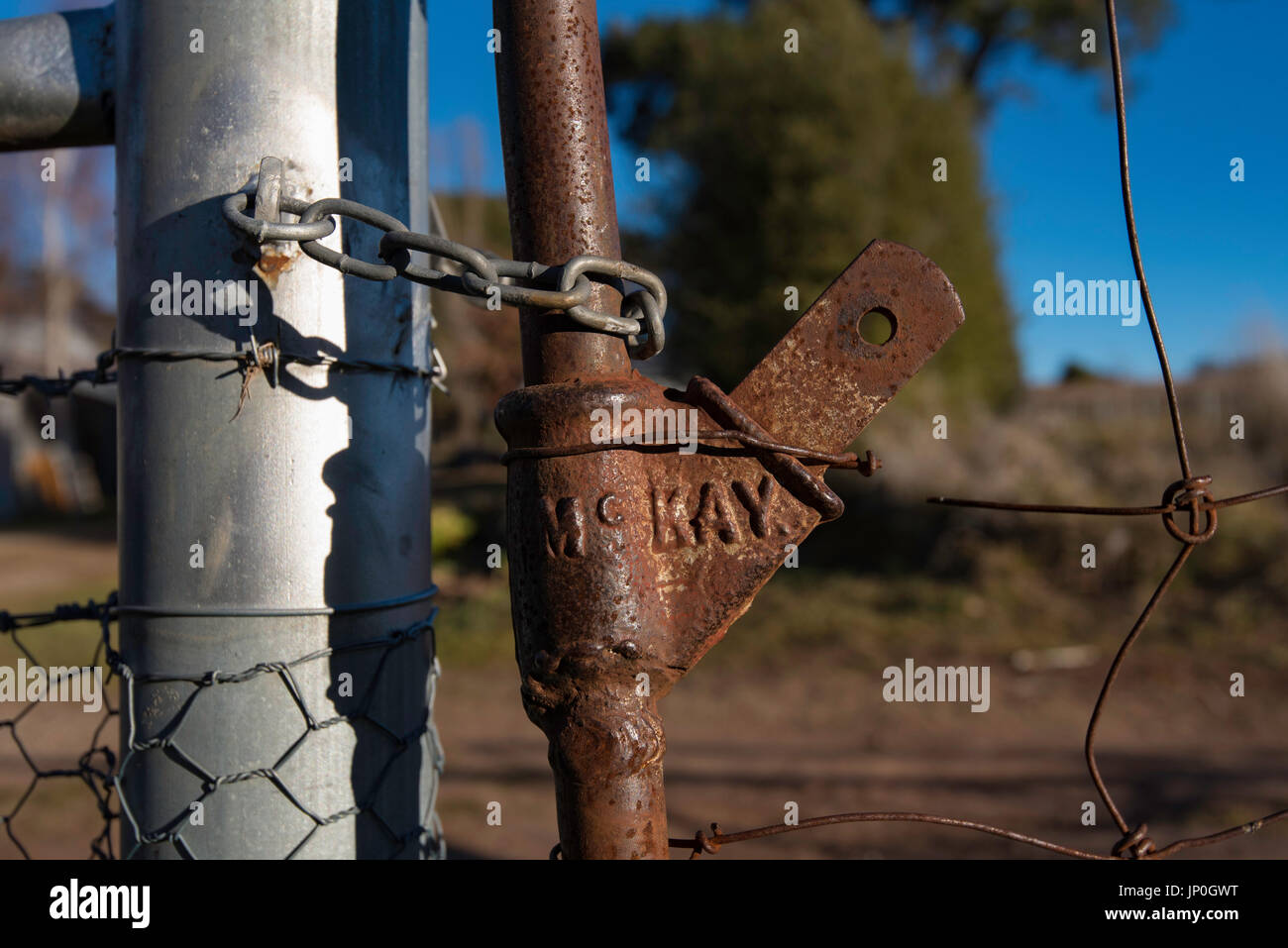 Galvanized Steel Gate High Resolution Stock Photography and Images - Alamy
