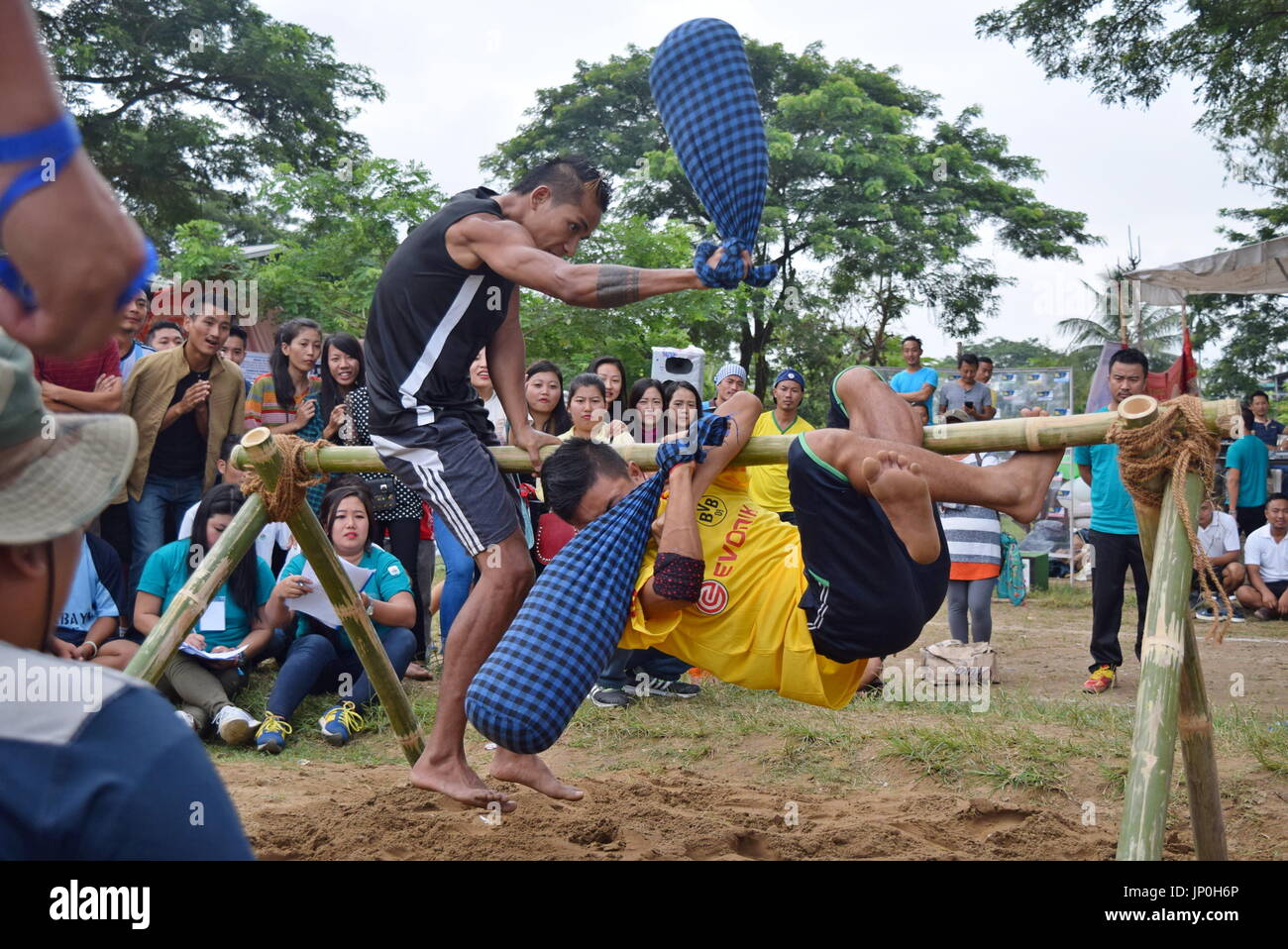 Survival of the fittest hi-res stock photography and images - Alamy
