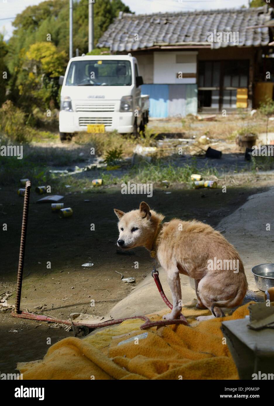 TOKYO, Japan - Photo taken in the town of Tomioka, Fukushima Prefecture ...