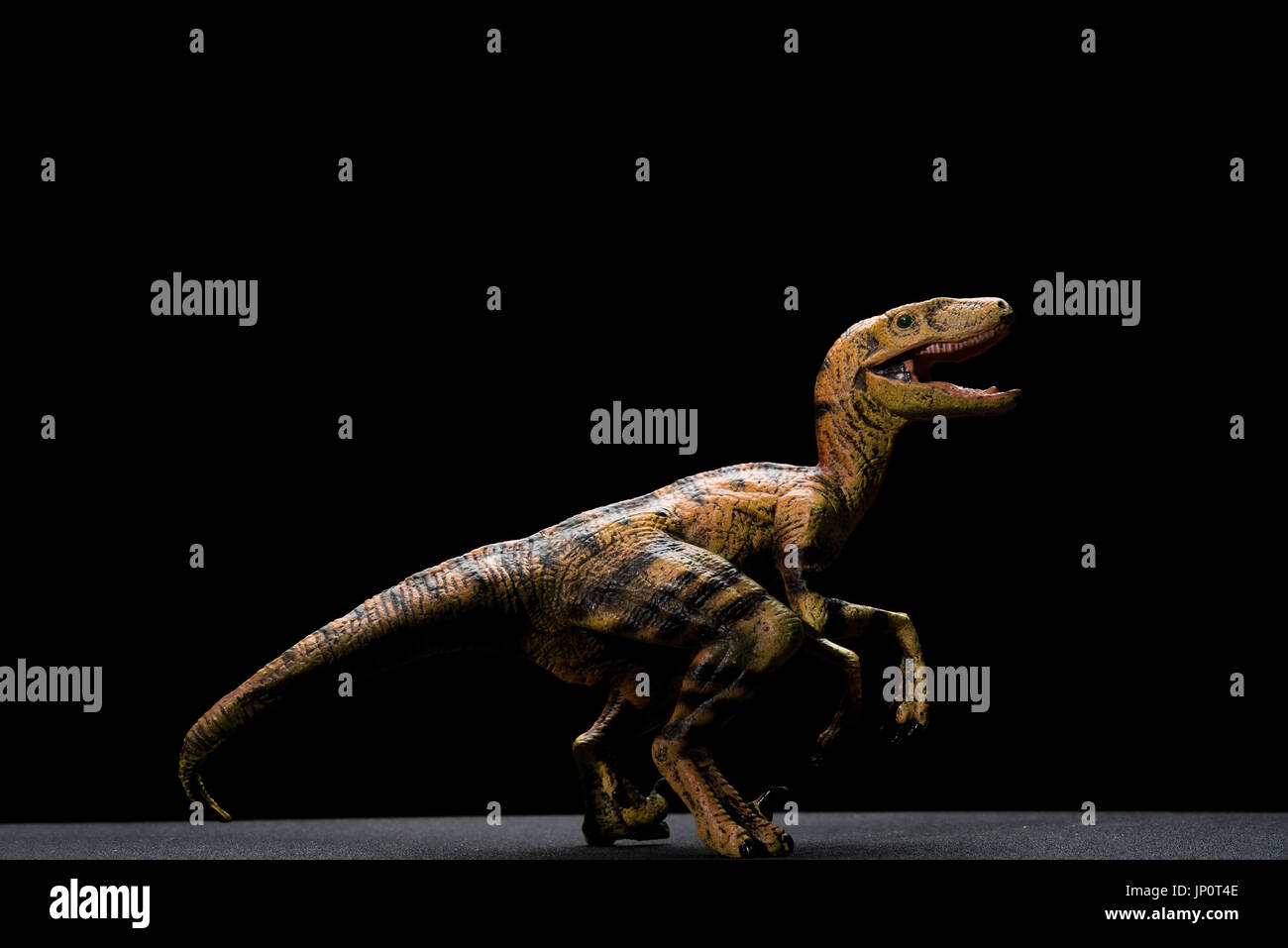 side view yellow velociraptor toy on a dark background Stock Photo - Alamy