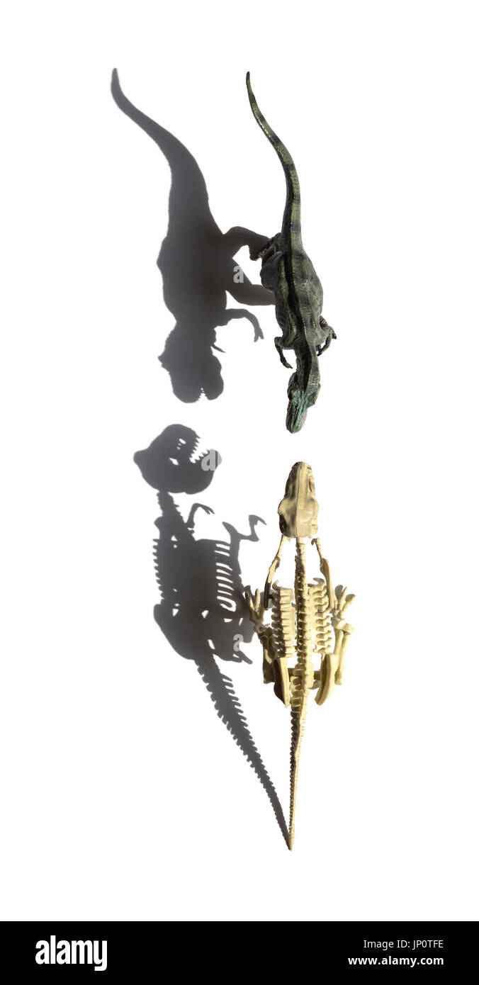 Shape of a tyrannosaurus rex Cut Out Stock Images & Pictures - Alamy