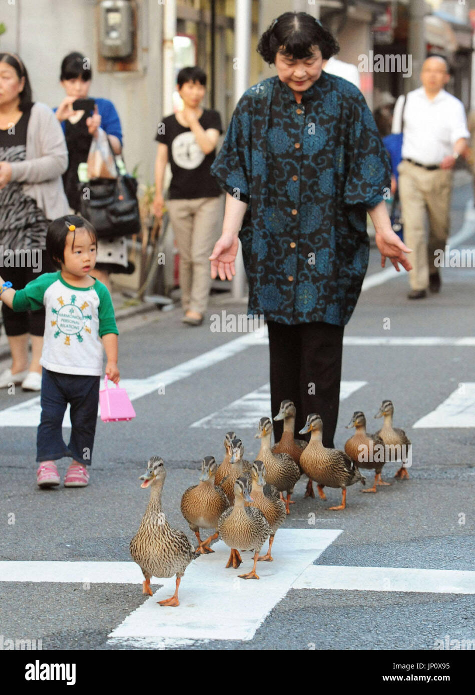 Kamo m hi-res stock photography and images - Alamy