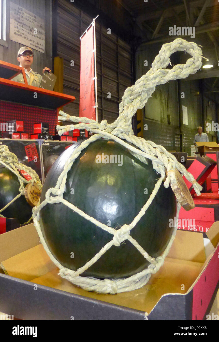 ASAHIKAWA, Japan - Photo shows a black-rind watermelon grown in ...