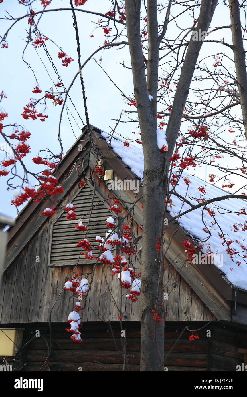 Sapporo in Winter Stock Photo - Alamy